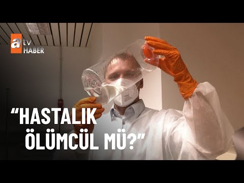 Türkiye'de ilk \