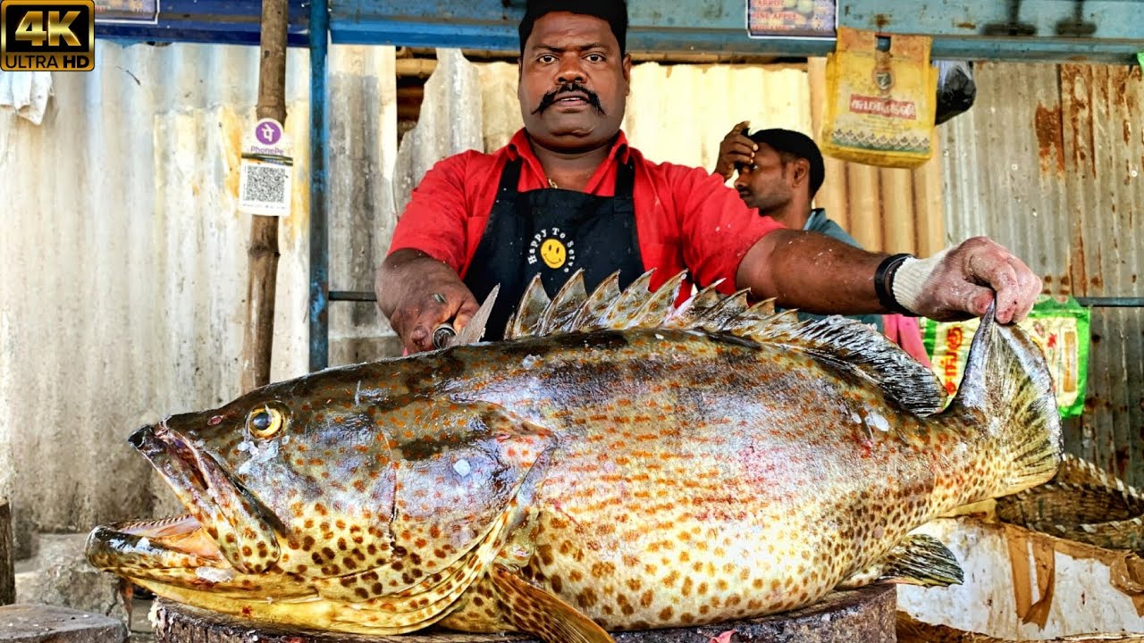 KASIMEDU 🔥 SPEED SELVAM | HIGE KALAVAN FISH CUTTING VIDEO | 4K VIDEO ...