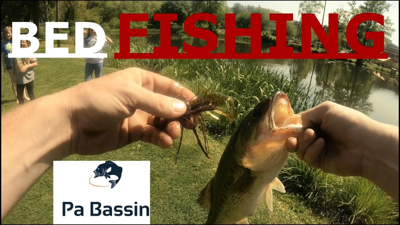 Bed Fishing , furnace dam Emmaus PA - YouTube