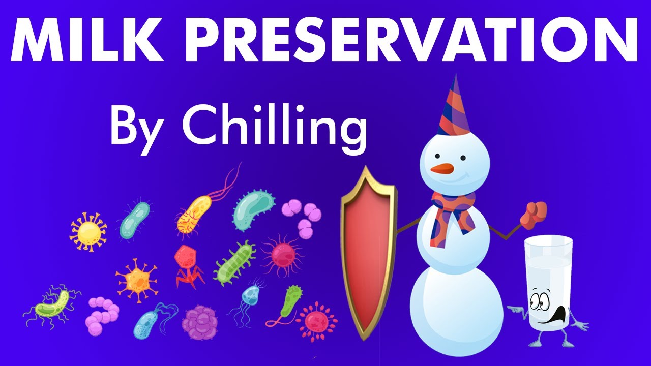 Milk preservation methods - YouTube