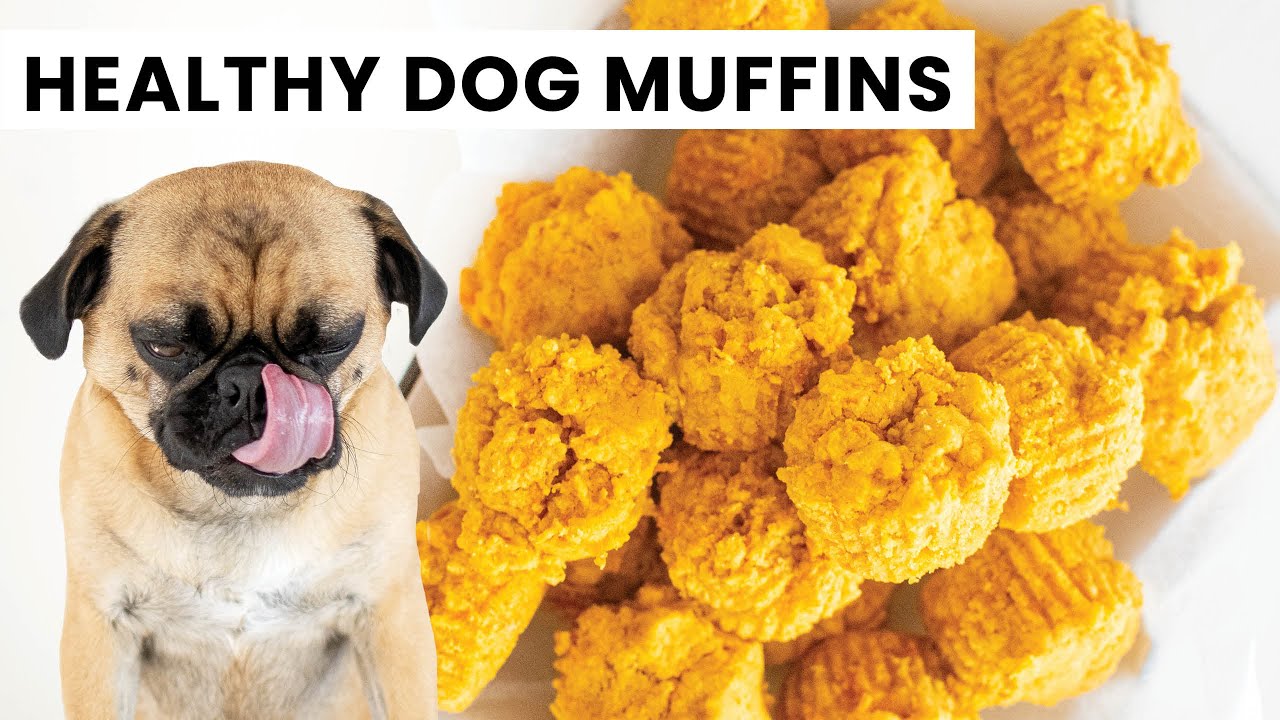 Healthy Homemade Dog Muffins 🐾 Easy Organic Treats Your Pup Will Love ...