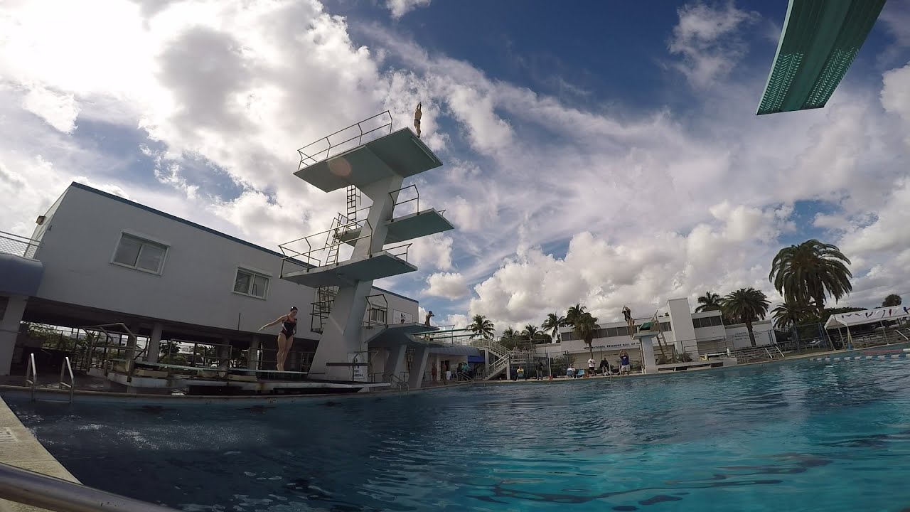 DIVING IN FLORIDA - YouTube