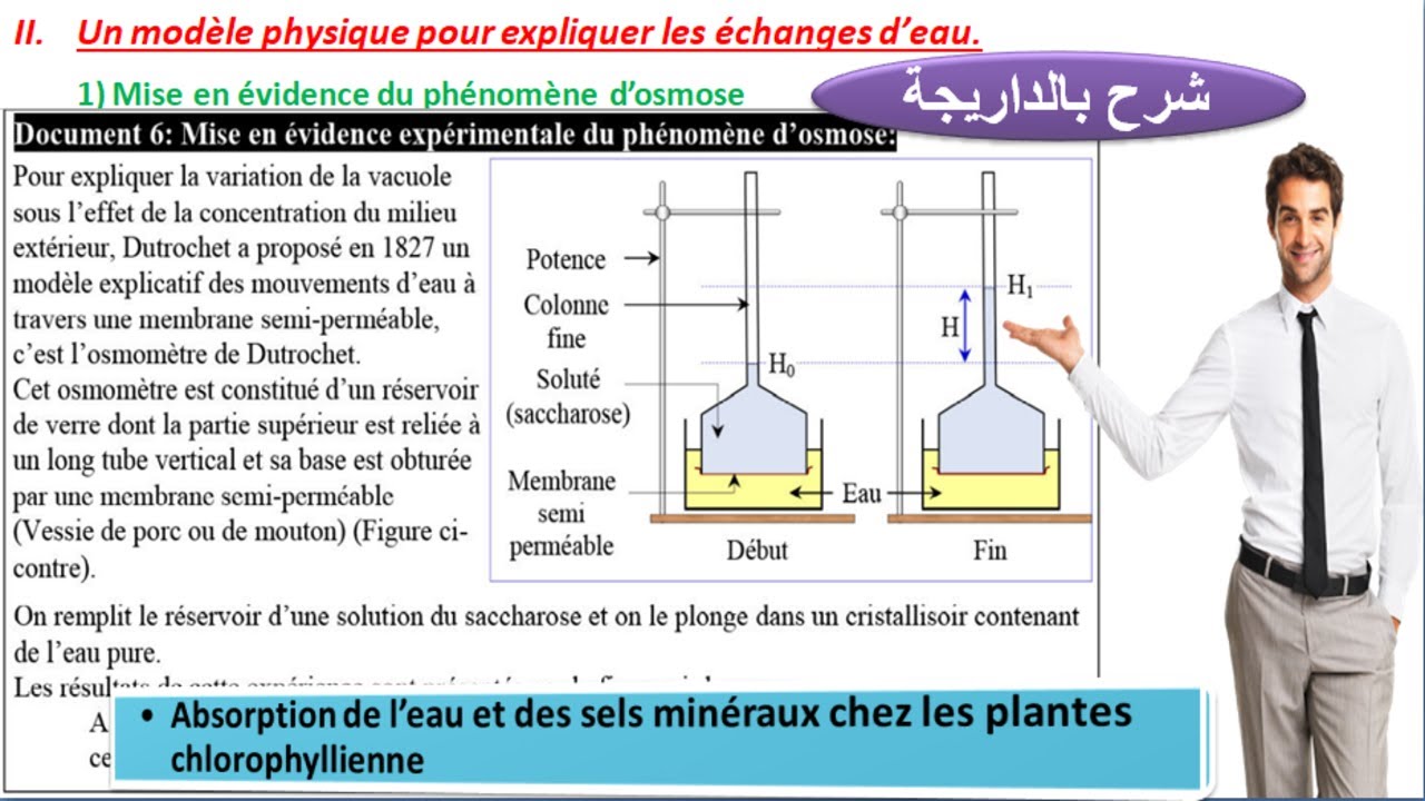 un modèle physique pour expliquer les échanges d'eau / expériences de Dutrochet (شرح بالداريجة ...