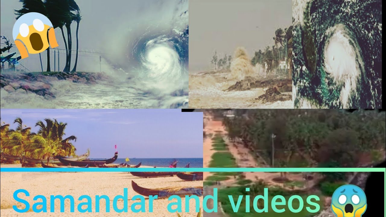 samandar and define 😱 new video 2024 samundari define evolution - YouTube