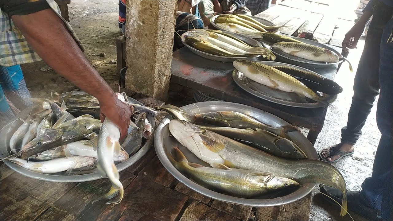 সিলেটের বিলের মাছ খুবই সস্তায় পাওয়া যাচ্ছে | Low price Fish Market ...