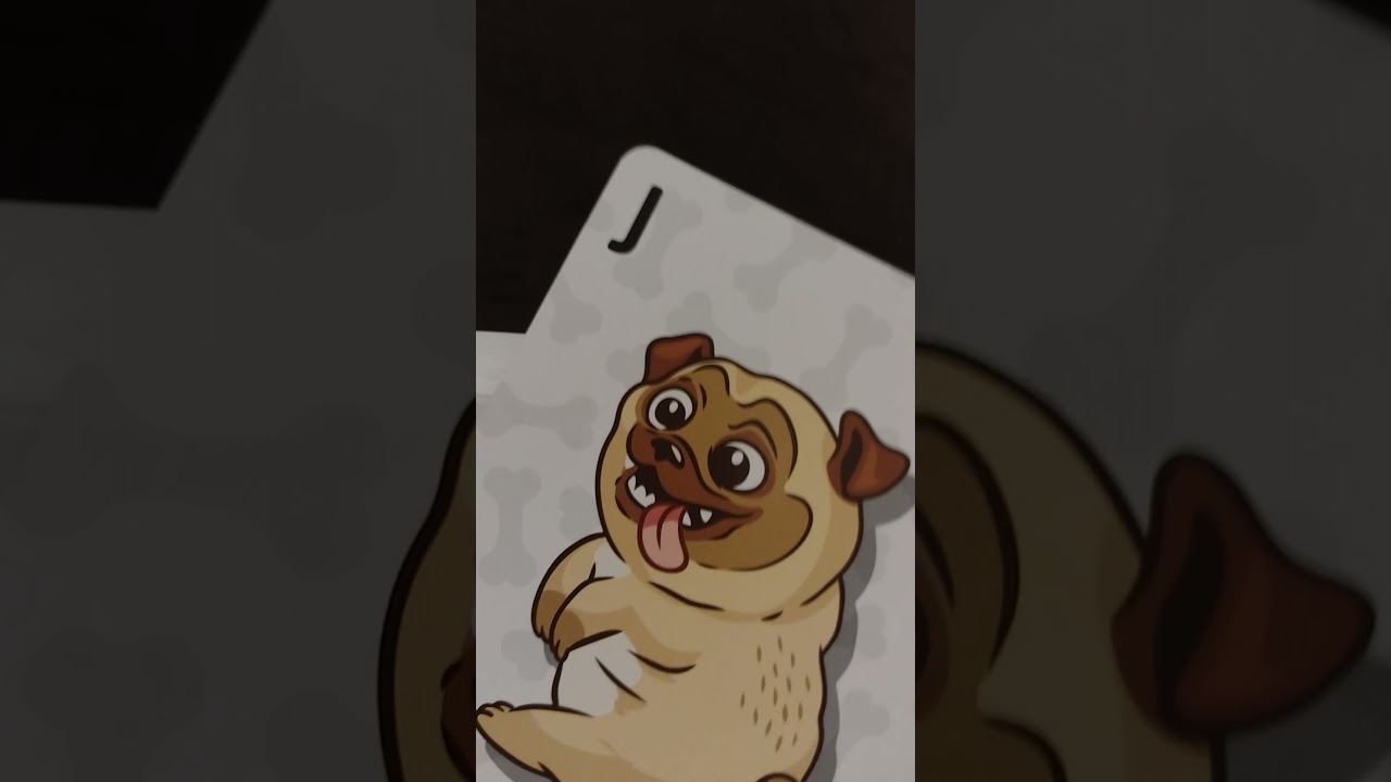 pugs vs cats card game looking for chunky boy and white cat - YouTube