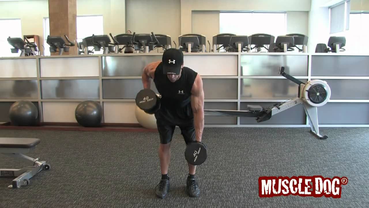 Alternating Dumbbell Row