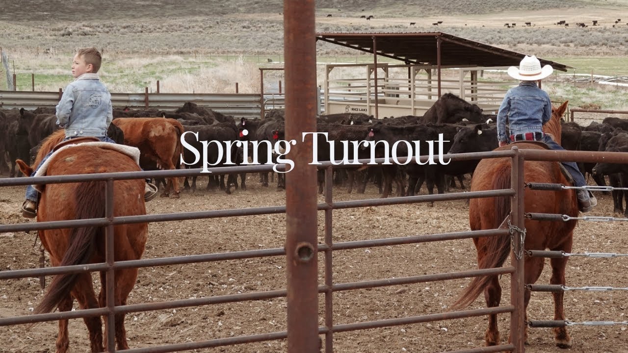 Spring Turnout - YouTube