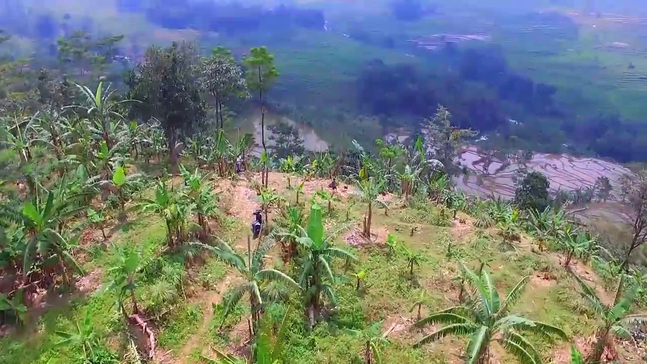 Curug Ciherang Curug Cipamingkis sekitarnya Jonggol Aerial - YouTube