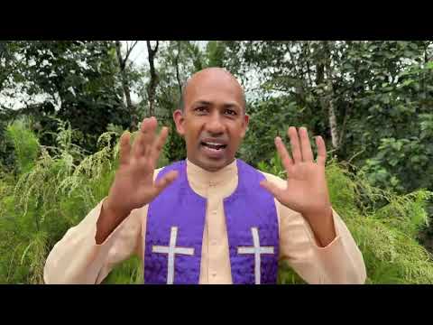2562. വീടിന്റെ വിള്ളലിൽ നിലയുറപ്പിക്കണം ! (Eze 22,30) | Fr.Binoy Karimaruthinkal PDM