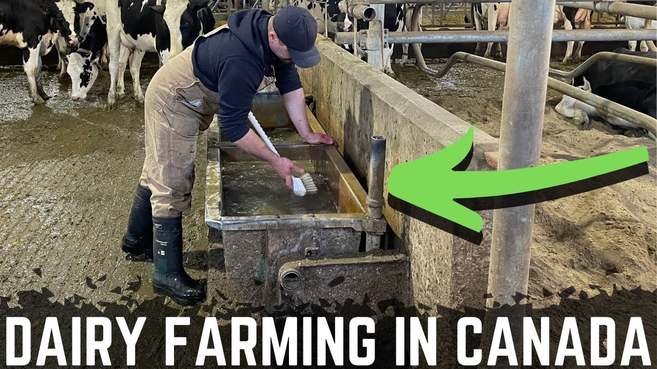 Cleaning Water Troughs And Grinding Concrete! - YouTube