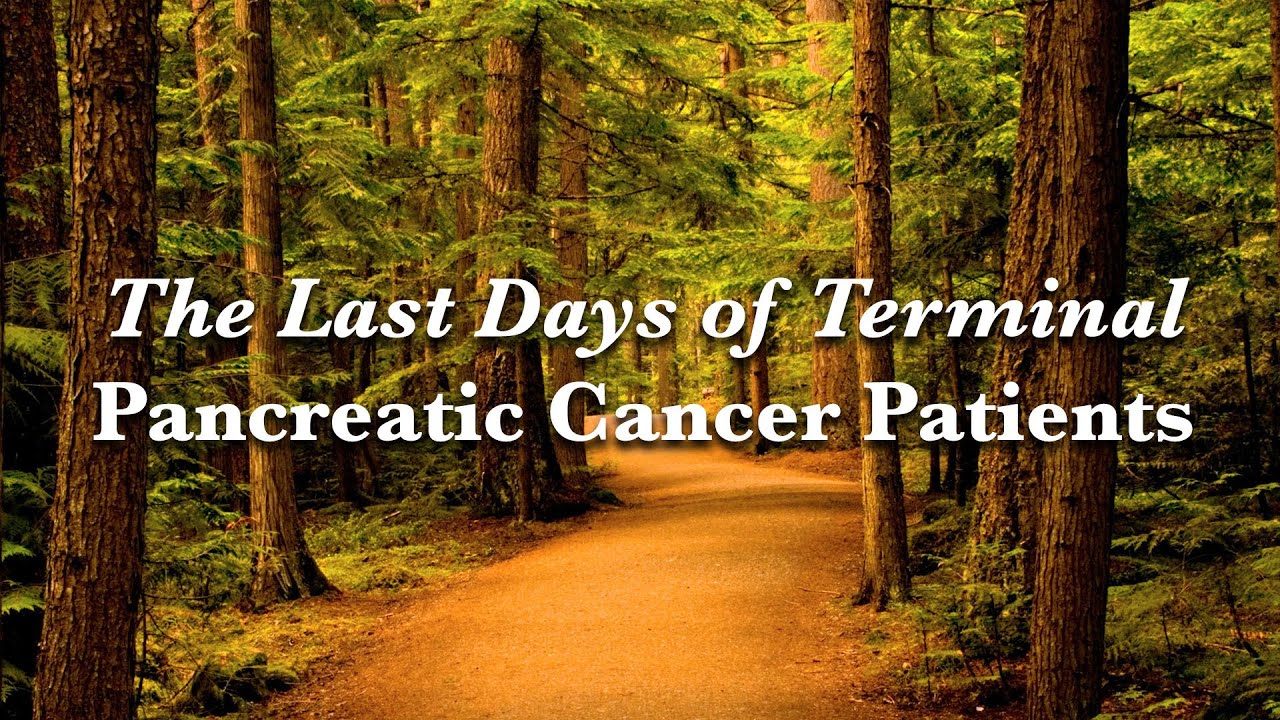 LAST DAYS OF TERMINALLY ILL PANCREATIC CANCER PATIENTS - YouTube