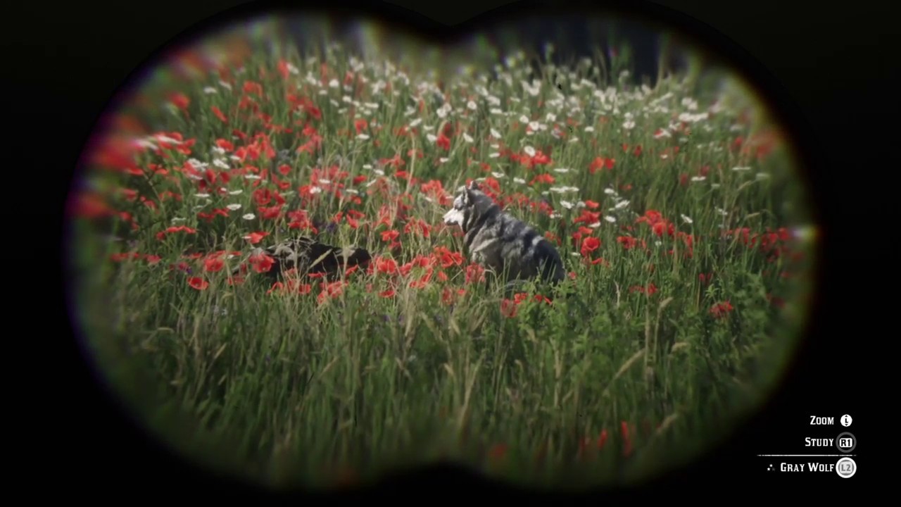 Red Dead Redemption 2 Sad Wolf - YouTube