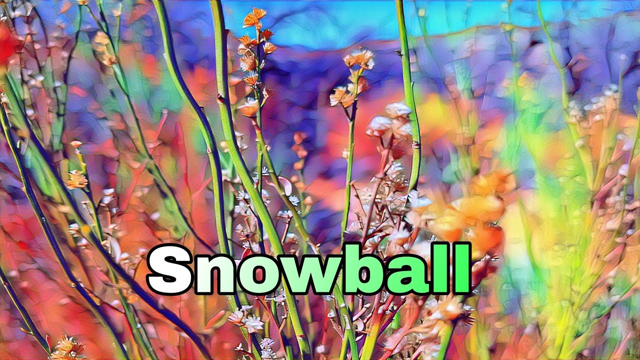 Snowball - YouTube