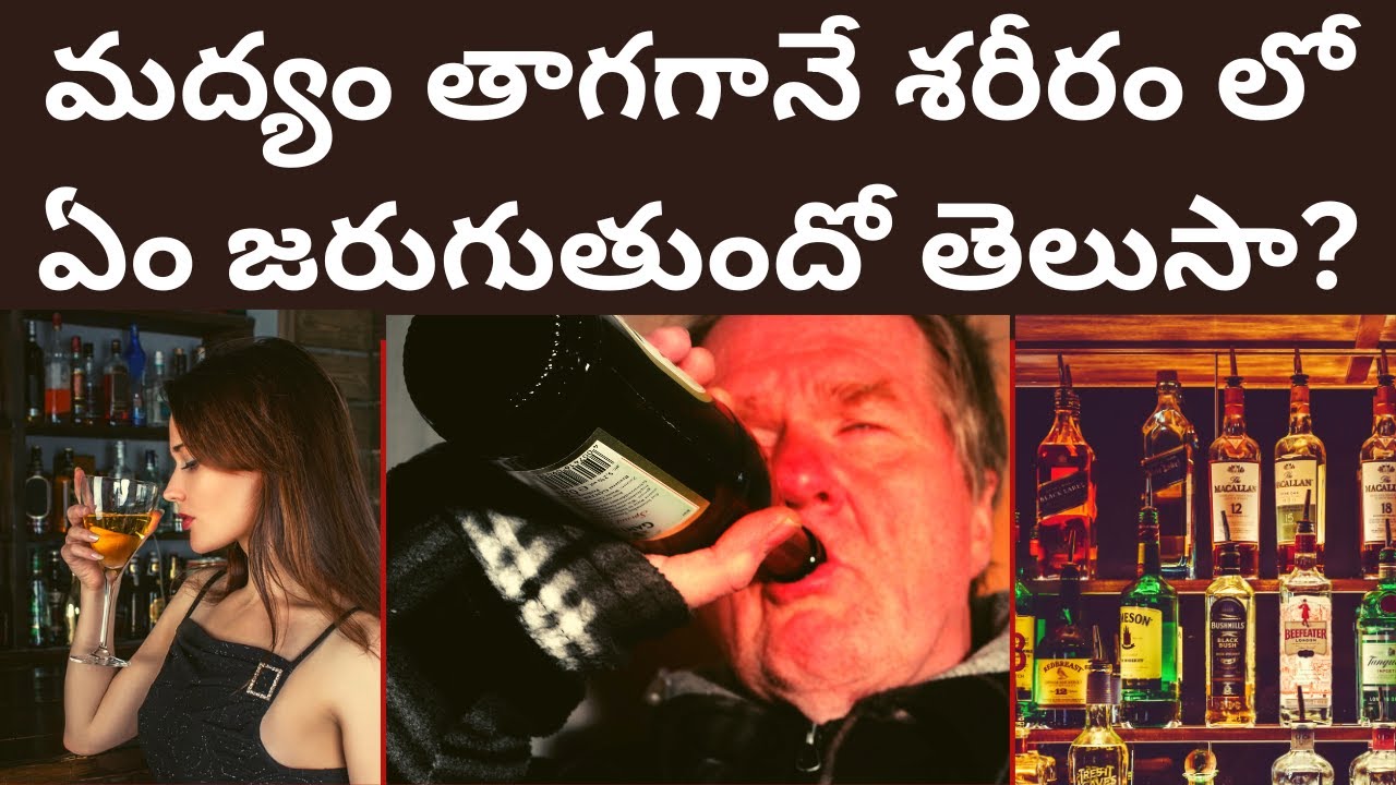 మద్యం తాగగానే శరీరం లో వెంటనే ఇలా జరుగుతుంది! What happens after drinking alcohol T mixture ...
