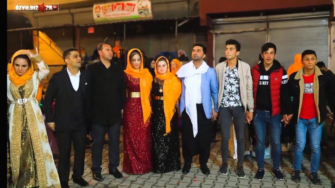 ŞEVKO HALAYI - LE XAYİNE 2021 - YouTube