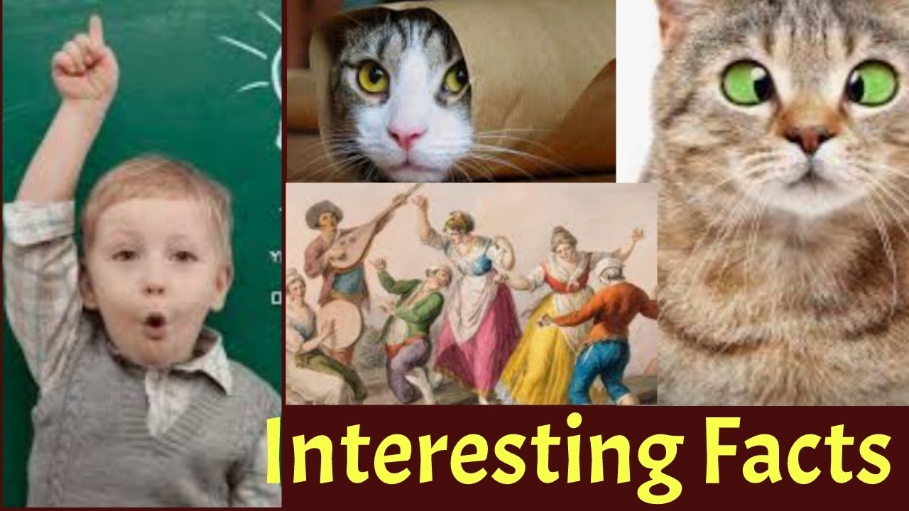 Interesting Facts khara | For your kind information | Video for time ...