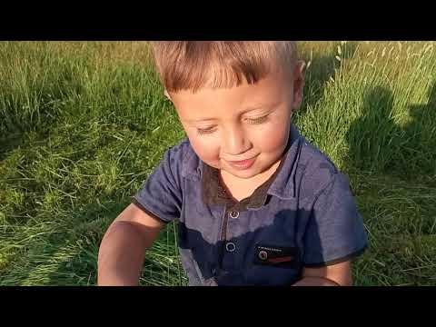 #köy de yaşam#inek#tana. İNEGİMİZE OT BİÇTİK# İNEGİMİZİN YENİ HAFTİ