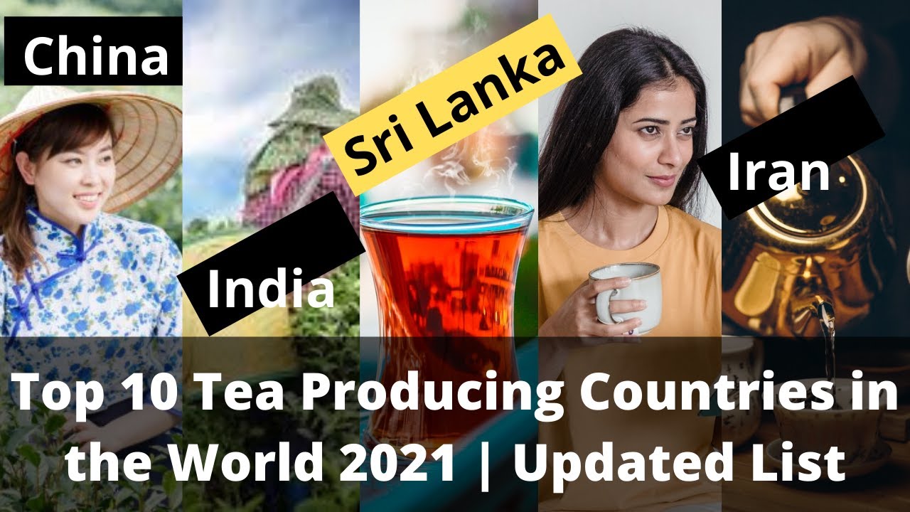 Top 10 Biggest Tea Producing Countries in the World 2021 | China Tea ...