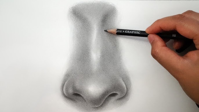 Drawing In Pencil Tutorials