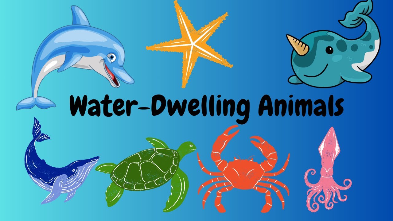Water Dwelling Animals-Educational video for kids#kidslearning # ...