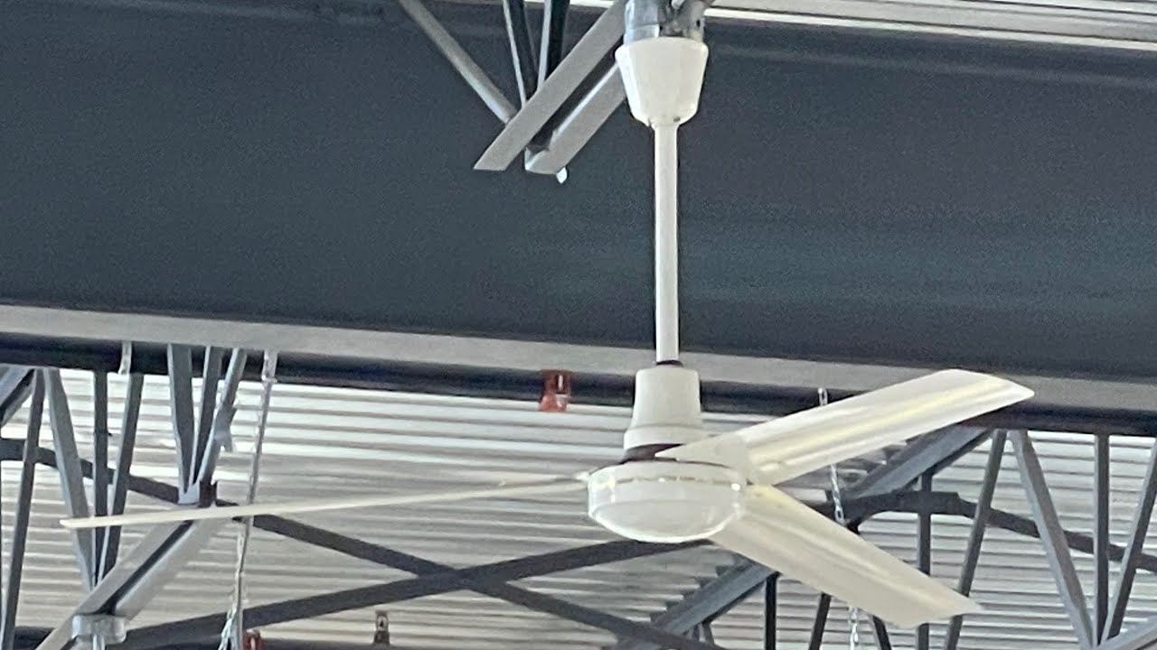 1995-2011 Canarm CP60HPWP 150 cm high performance ceiling fans (for ...