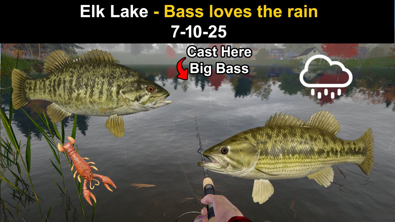 Russian Fishing 4, Elk Lake - Bass loves the rain 7-10-25 - YouTube