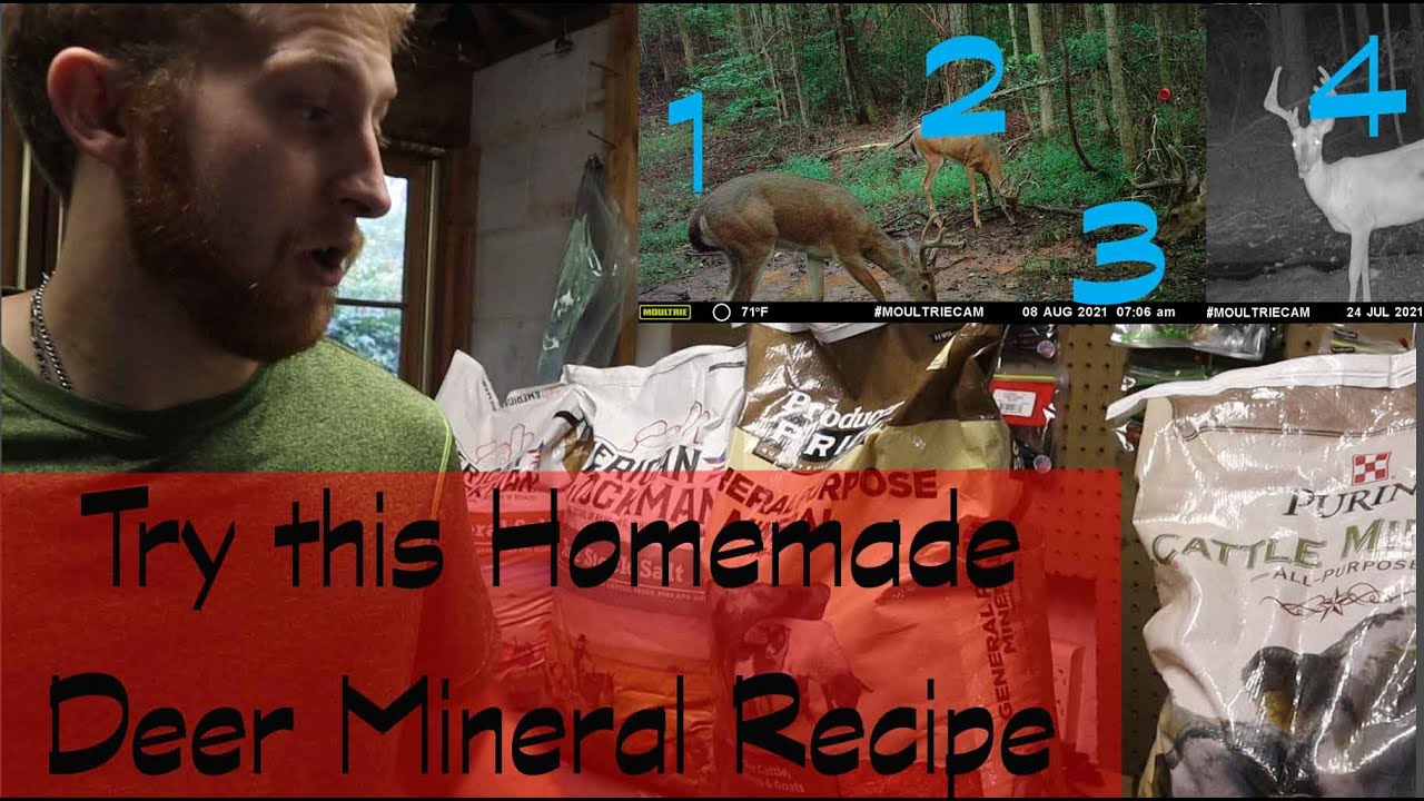 This Homemade Deer Mineral Brings in Big Bucks!!! - YouTube