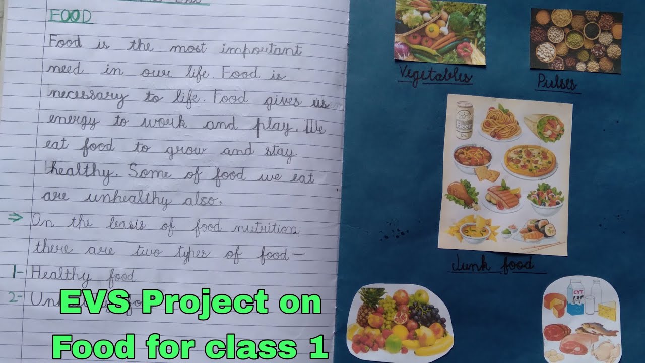 Food we eat project for Class 1 l EVS project - YouTube