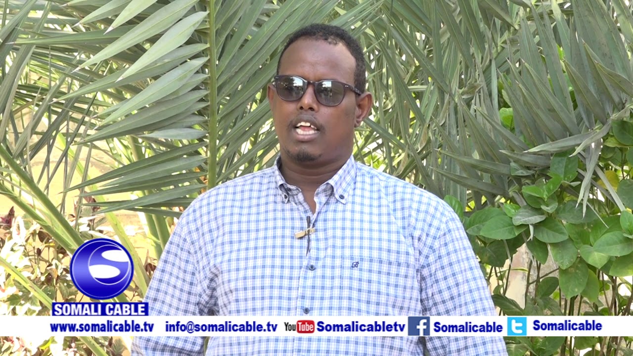 Xildhibaan Aadan cabdi faarax oo ka tirsan baarlamanka hirshabeele oo ...