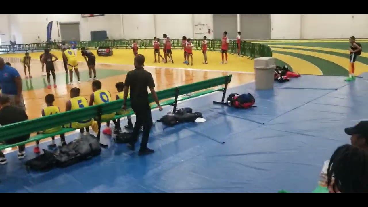 Team Assault TAS vs BWSL 2029🤔 @Boo Williams Sportsplex 6/28/22 game 1 ...