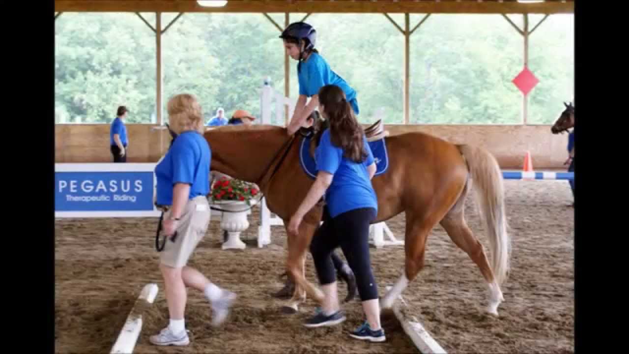 34th Annual Pegasus Horse Show photo album - YouTube