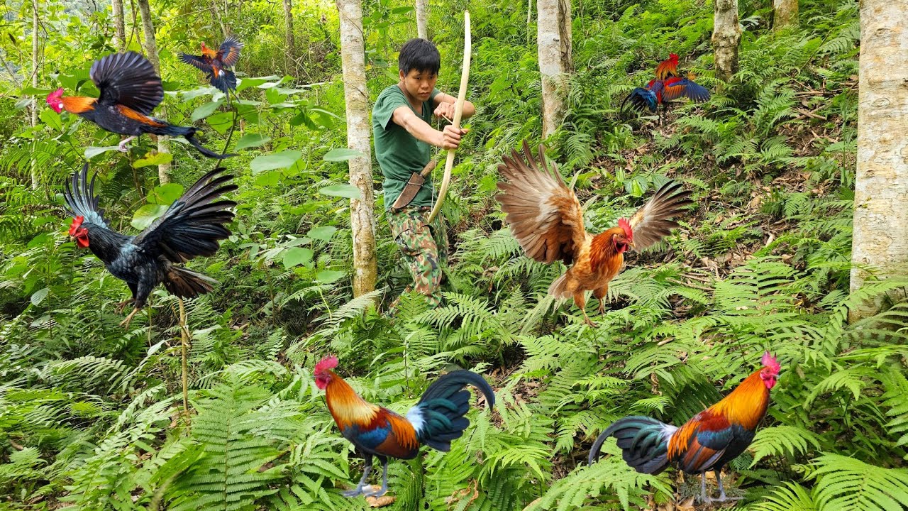 Skills to trap wild chickens, hunt at night, care for and tame wild ...