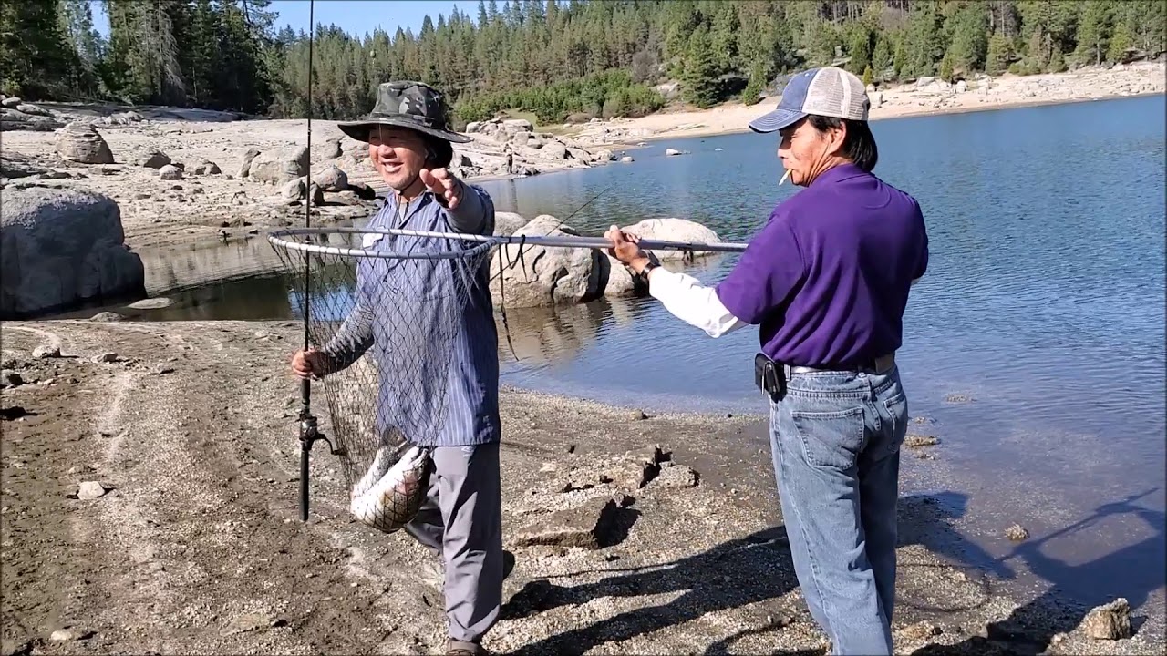 Trout Fishing / New Spot Shaver Lake May 2020 / Nuv Ntses Chaw Tshiab ...