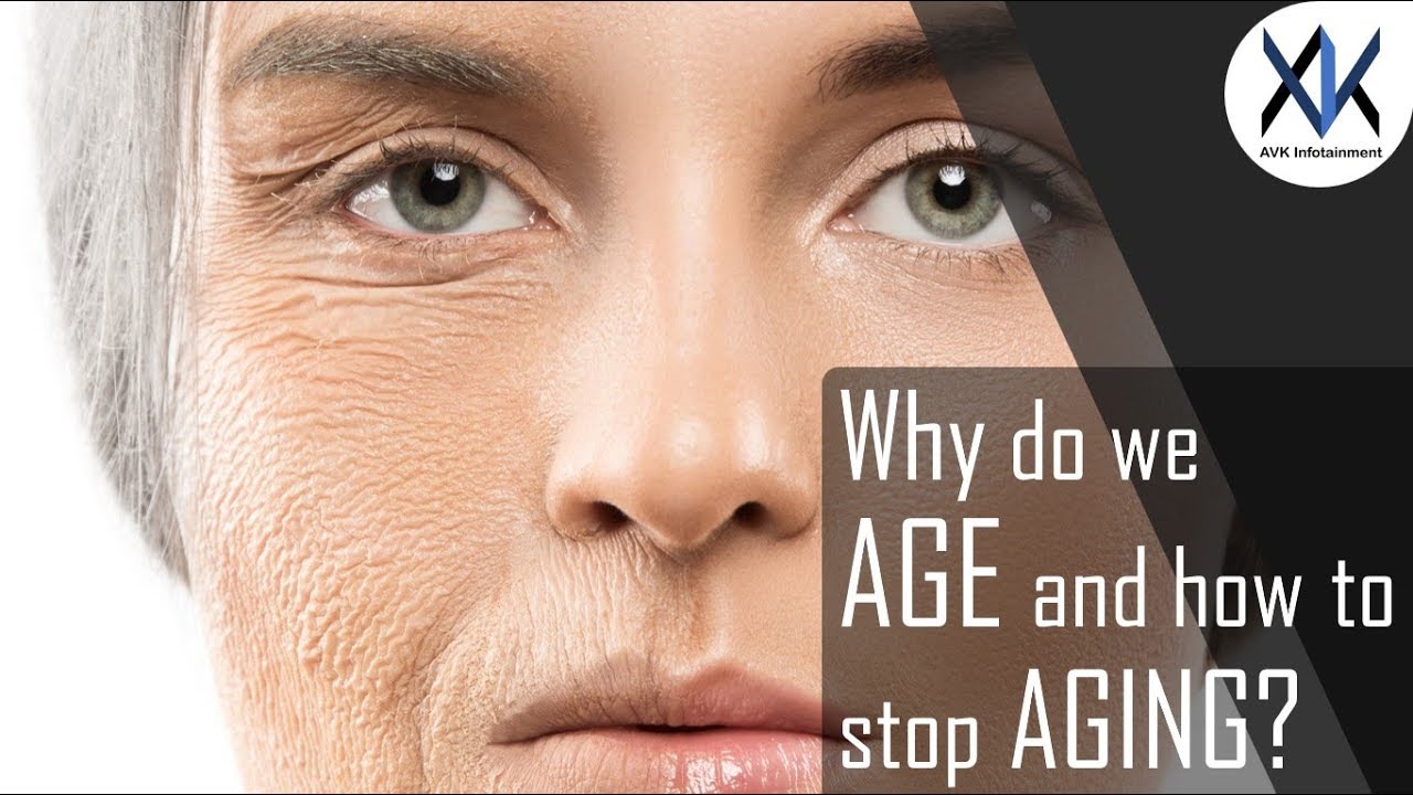 Why do we Age and How to Stop Aging? - YouTube