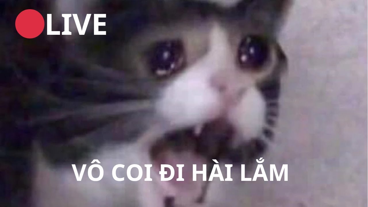 🔴 Làm tí game coi coi - YouTube