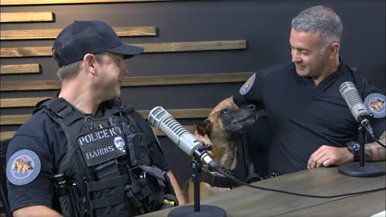 Paw-some partners: How the strong bond between K9s and their handlers ...