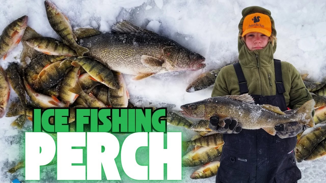 Ice Fishing Perch With Plastics - YouTube