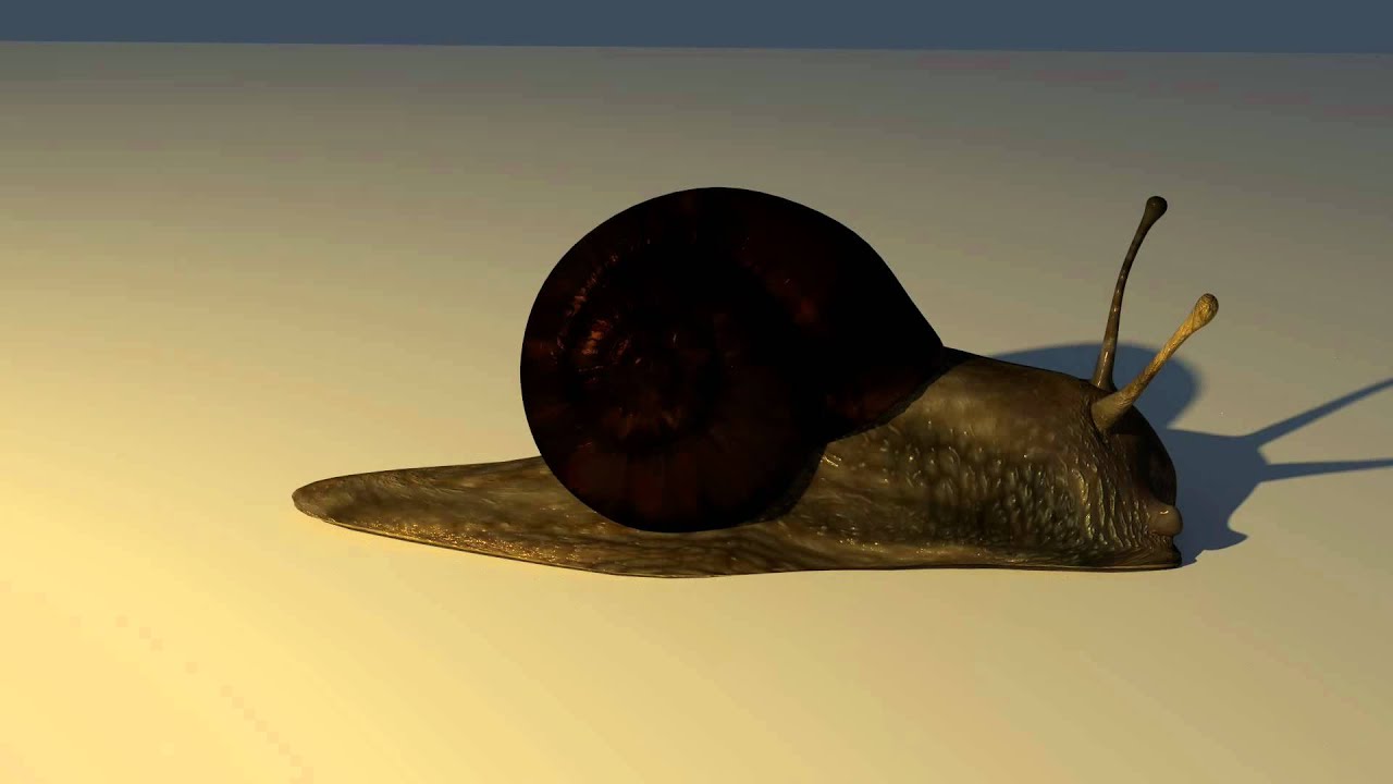 Blender test render : A snail - YouTube