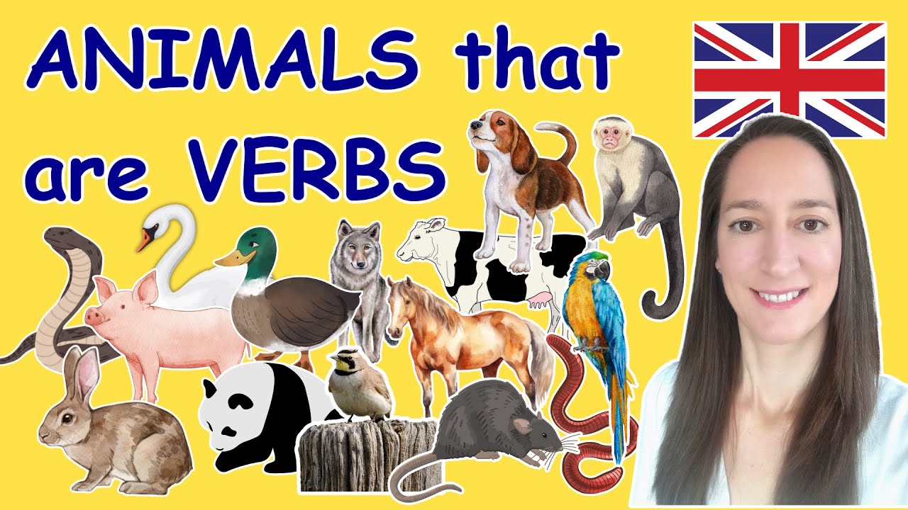 Animals that are also Verbs - English Vocabulary - YouTube