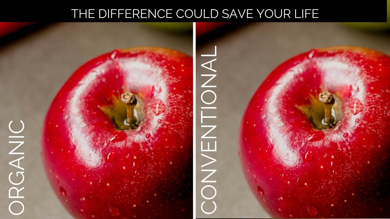 18: Organic vs. Conventional Foods - The Difference Could Save Your ...