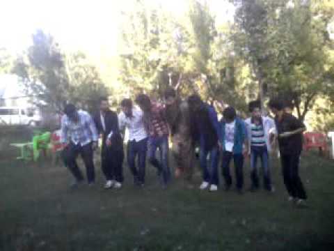 Her biji sercopi