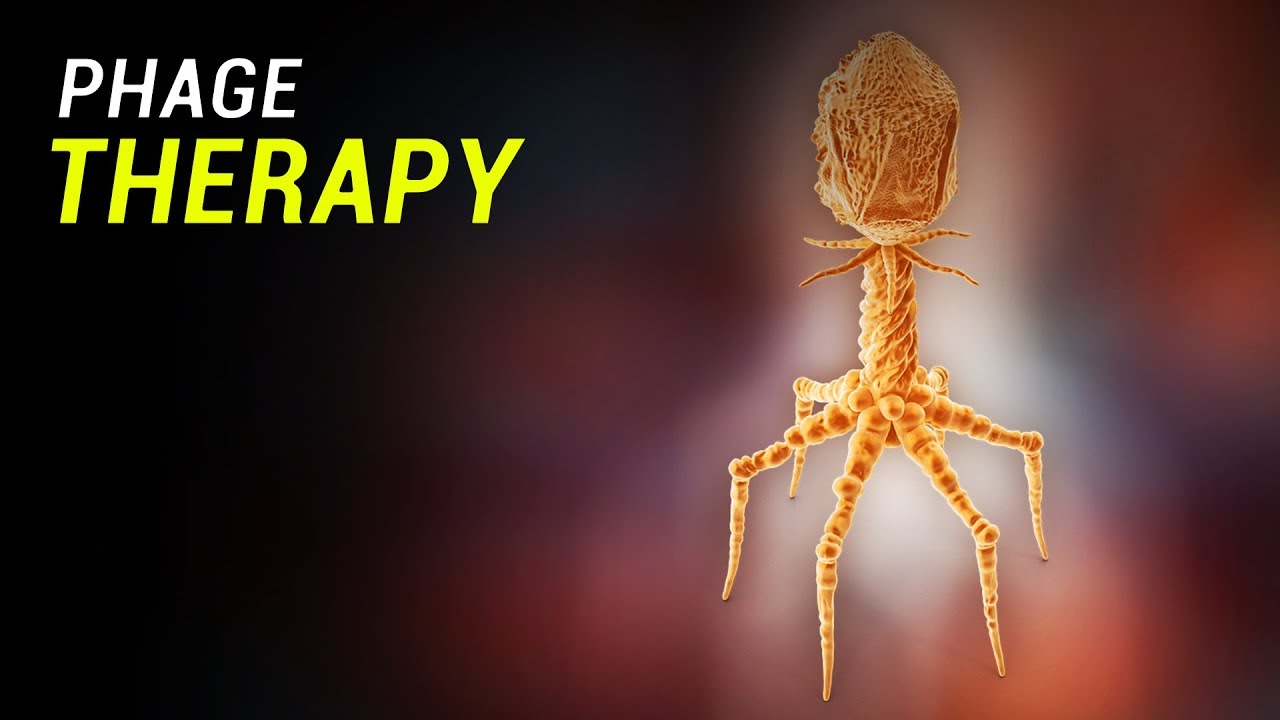 Phage Therapy: How does it work? - YouTube