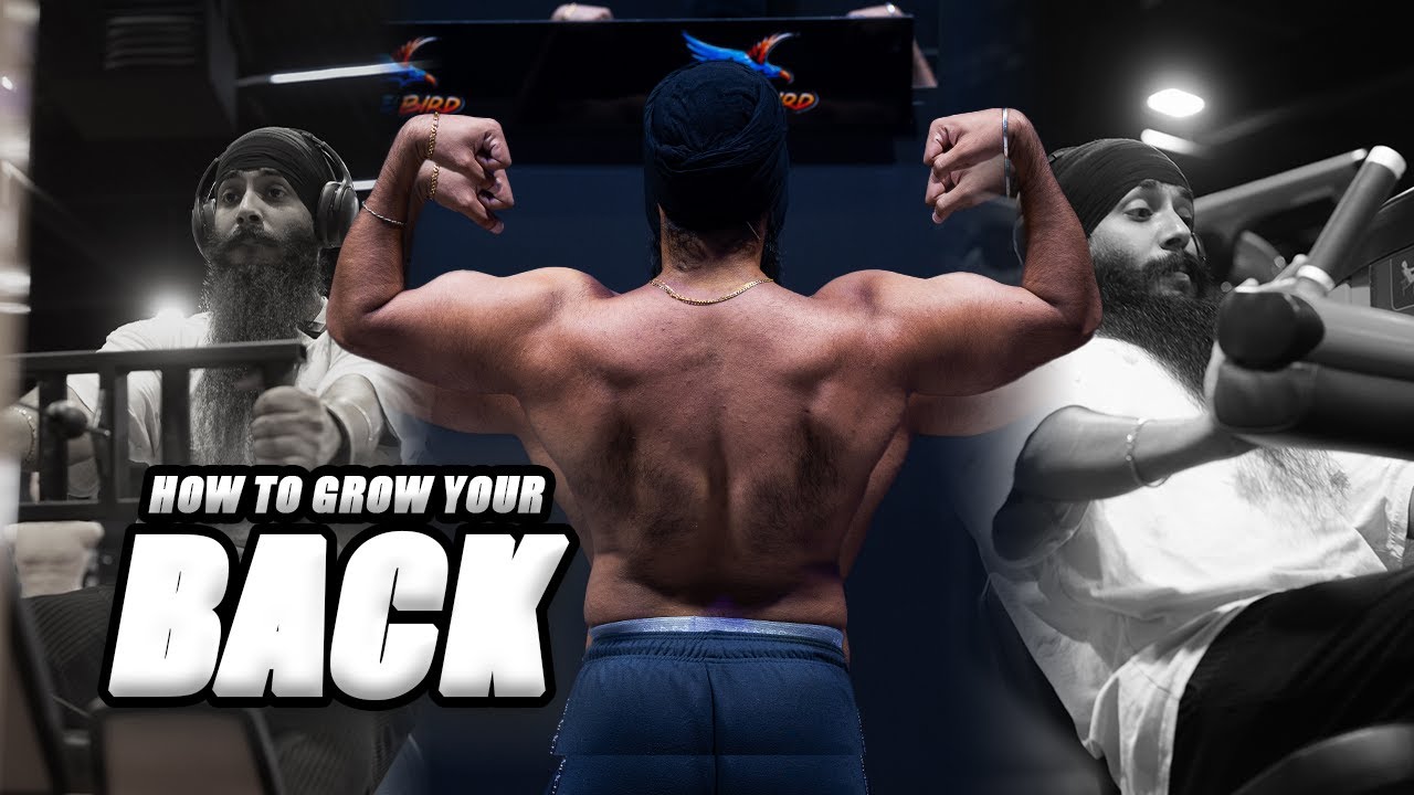 THE BEST BACK WORKOUT EVER | FALL BULK DAY 76 - YouTube