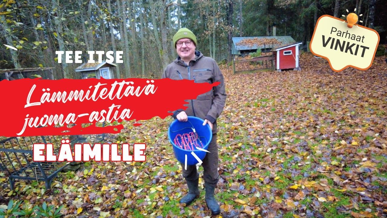 TEE ITSE Lämmitettävä juoma-astia eläimille I Parhaat vinkit - YouTube