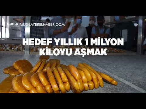 Dalko'da hedef Balık Yumurtası ve Botarga’da 1 milyon kiloyu aşmak