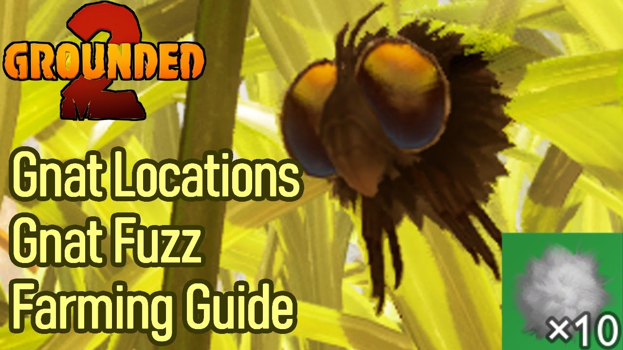 Grounded 2 Gnat Locations Guide, and how to get Gnat Fuzz - YouTube