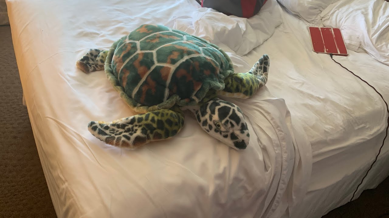 Melissa and Doug sea turtle stuffed animal toy review (featuring Skull ...