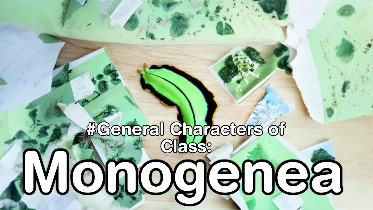 03. Monogenea & Trematoda : General Characters of class | Helminthology ...