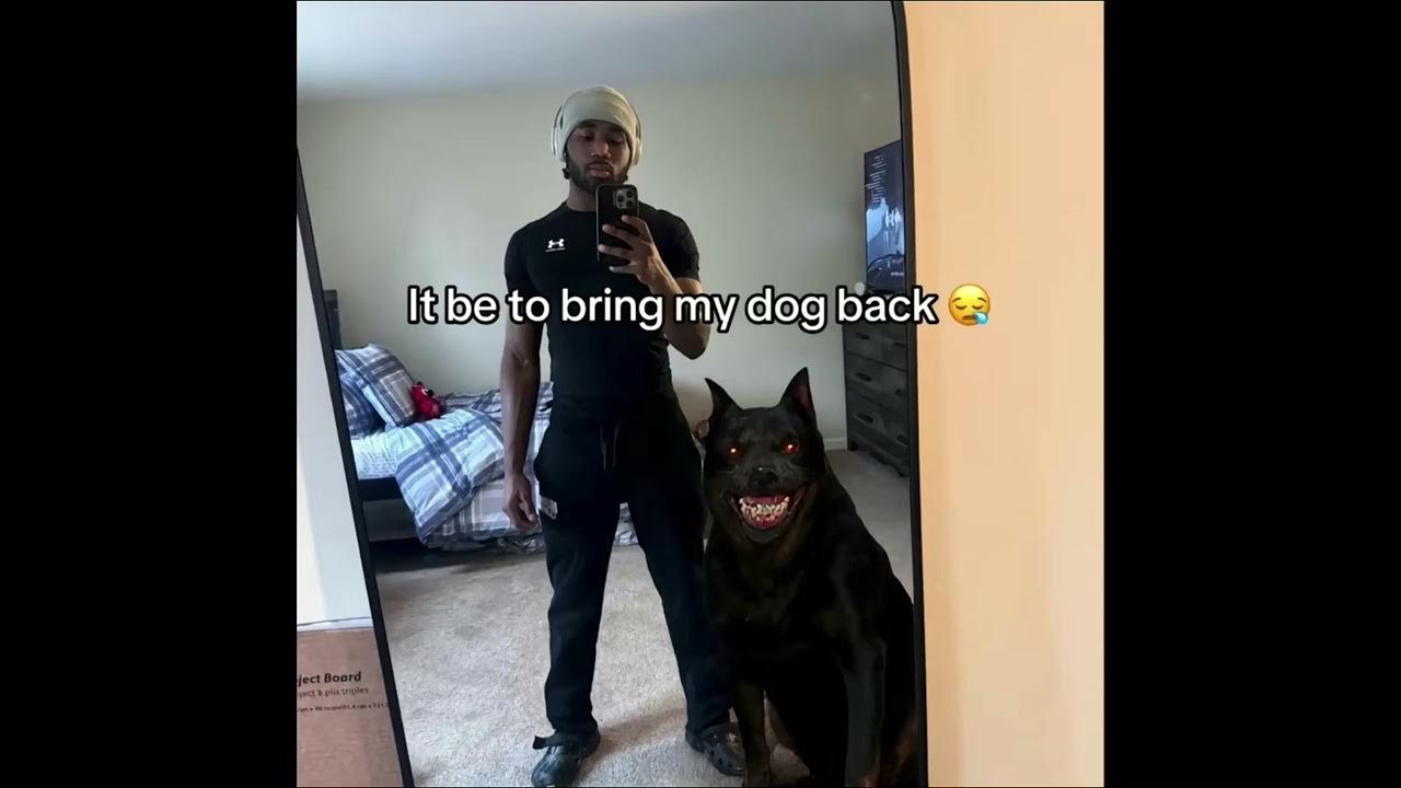 “If i had one wish it be to bring my dog back” song meme from tiktok the good part only - YouTube